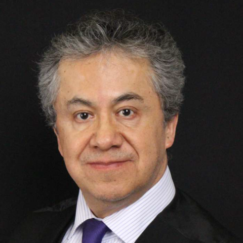 Invitados Extranjeros – Congreso 2024 – SAD